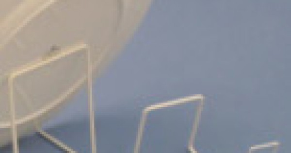 Wire Plate Stands